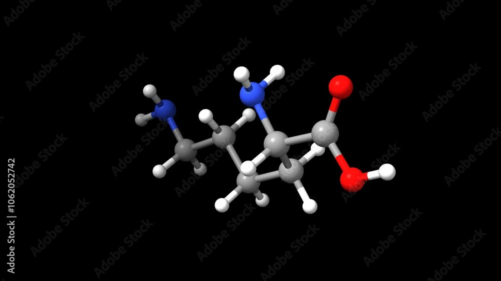 Structure of the amino acid DL-lysine. Animated 3D ball-and-stick and ...