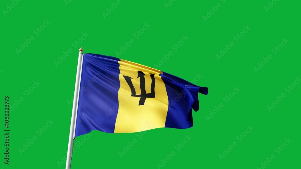 flag of Barbados on a green screen, no background, transparent ...