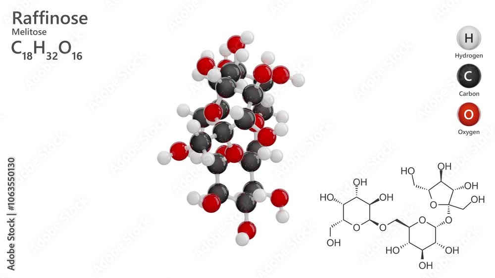Raffinose. Trisaccharide. Animated 3D model of a molecule. Molecular formula: C18H32O16 ...