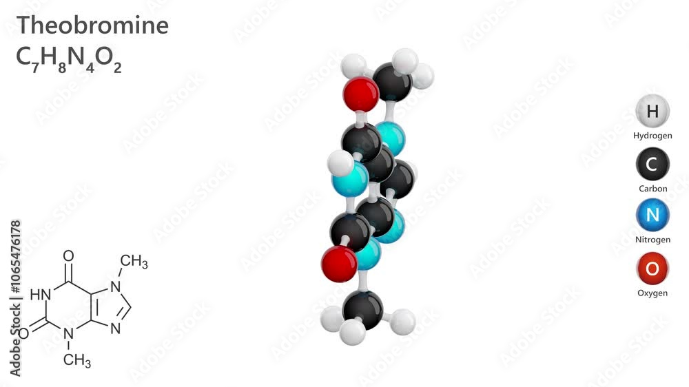 Theobromine. Purine alkaloid. Animated 3D model of a molecule ...