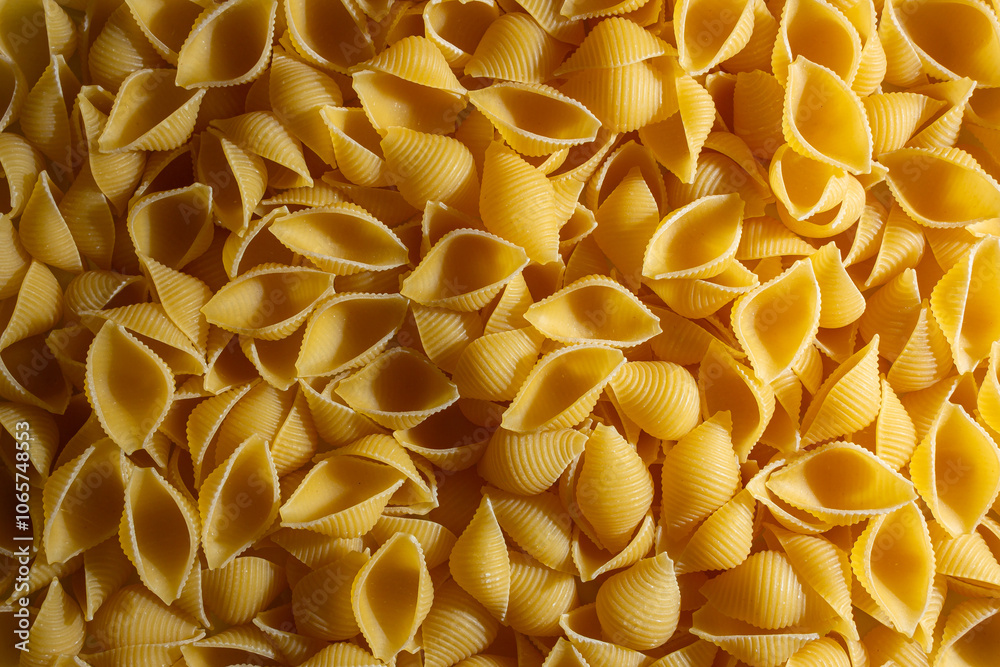 Uncooked Conchiglie Pasta: A Culinary Canvas of Conchiglie Macaroni ...