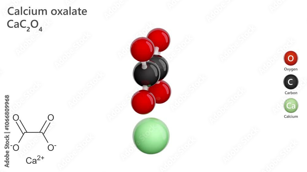 Calcium Oxalate. Kidney stones. Animated 3D model of a molecule ...
