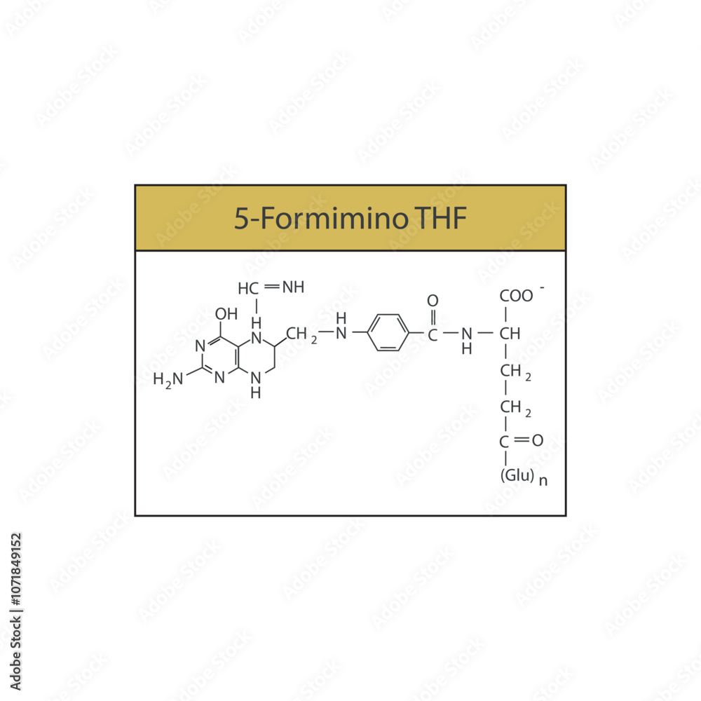 5-Formimino THF skeletal structure diagram.Vitamin B9 compound molecule ... 5-Formimino THF skeletal structure diagram.Vitamin B9 compound molecule ...