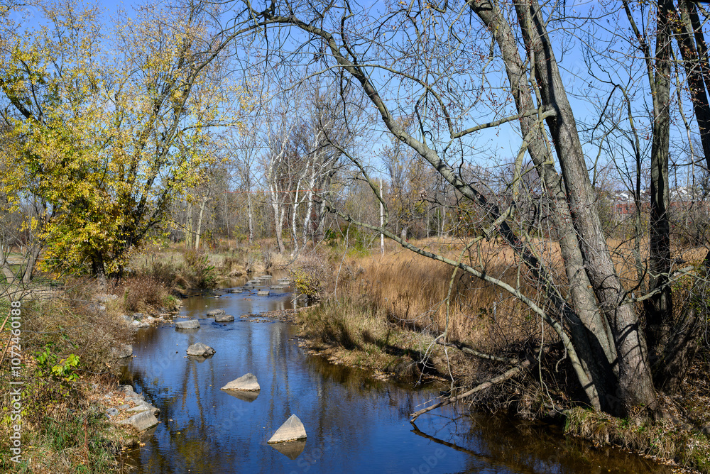 Stream, floodplain, dam removal and wetland restoration along a stream ...