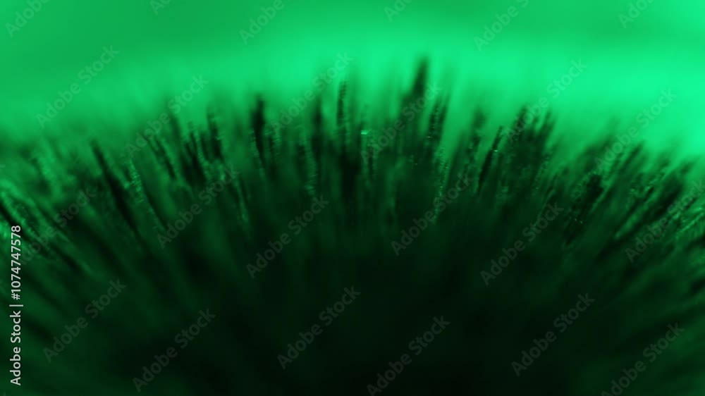 Iron dust spikes in green colour. Reaction of iron filings to a ...