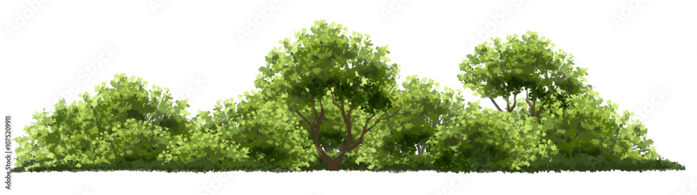 Vector of green tree side view isolated on white background ,watercolor ...