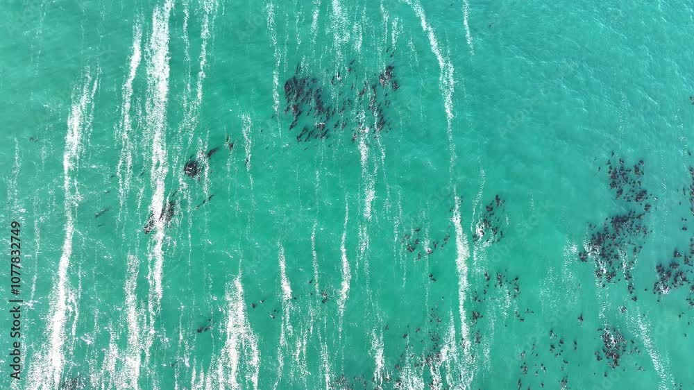 Wind and currents create long, thin lines of foam on the surface of the ...