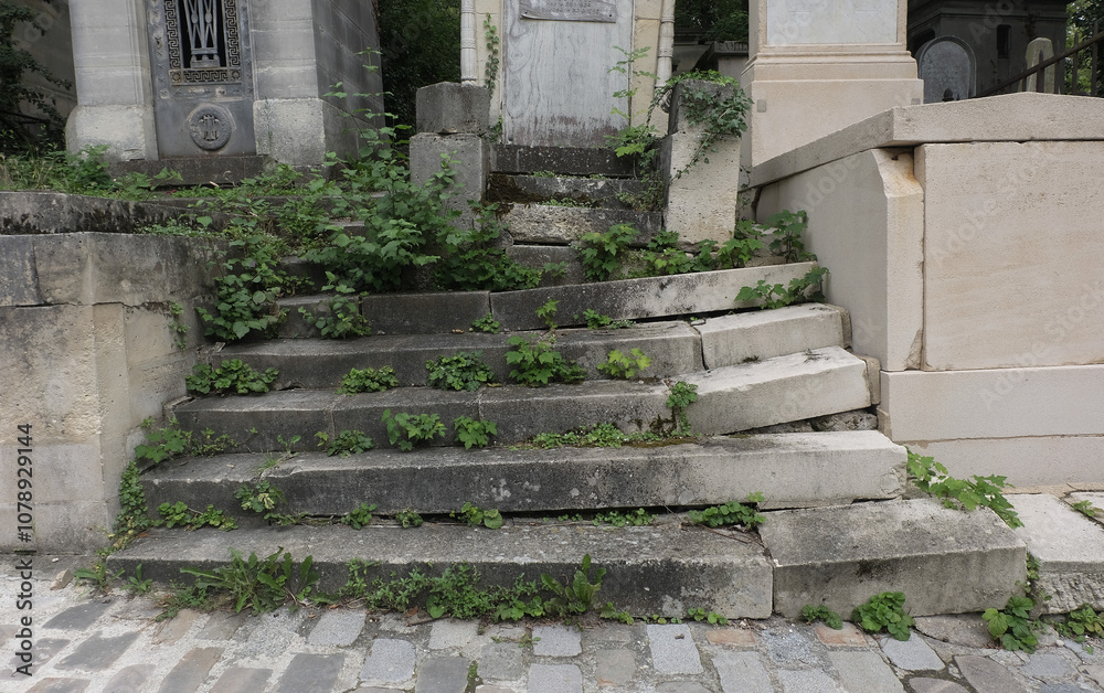 Variety of vegetation that is taking over an old cemetery. On ...