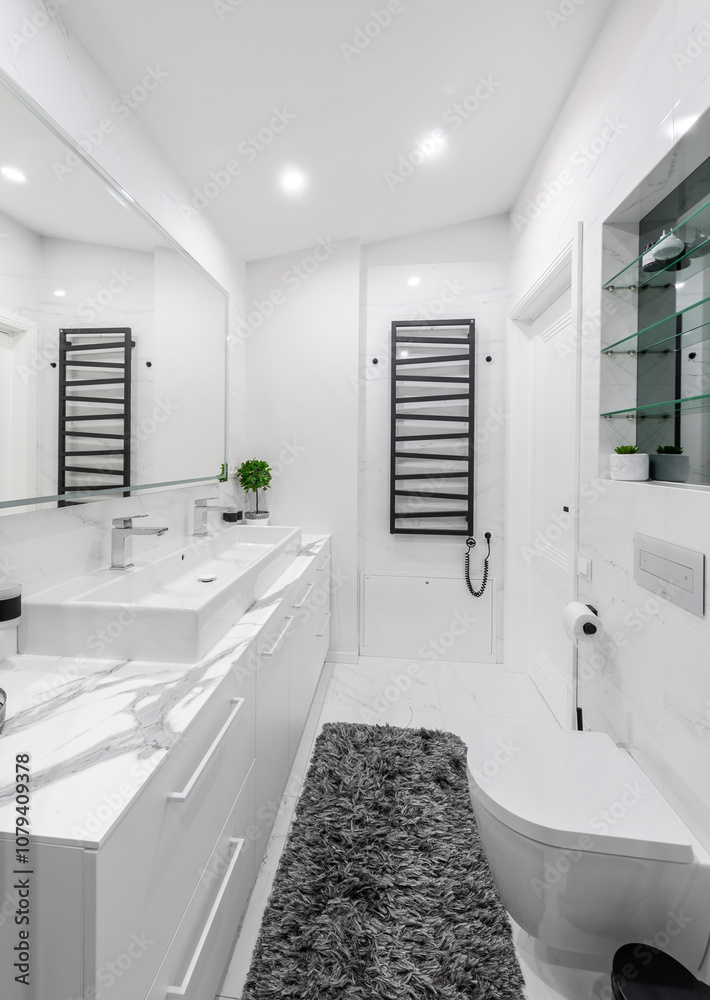 Bright Elegant Modern Luxury Scandinavian Bathroom Interior Design of ...