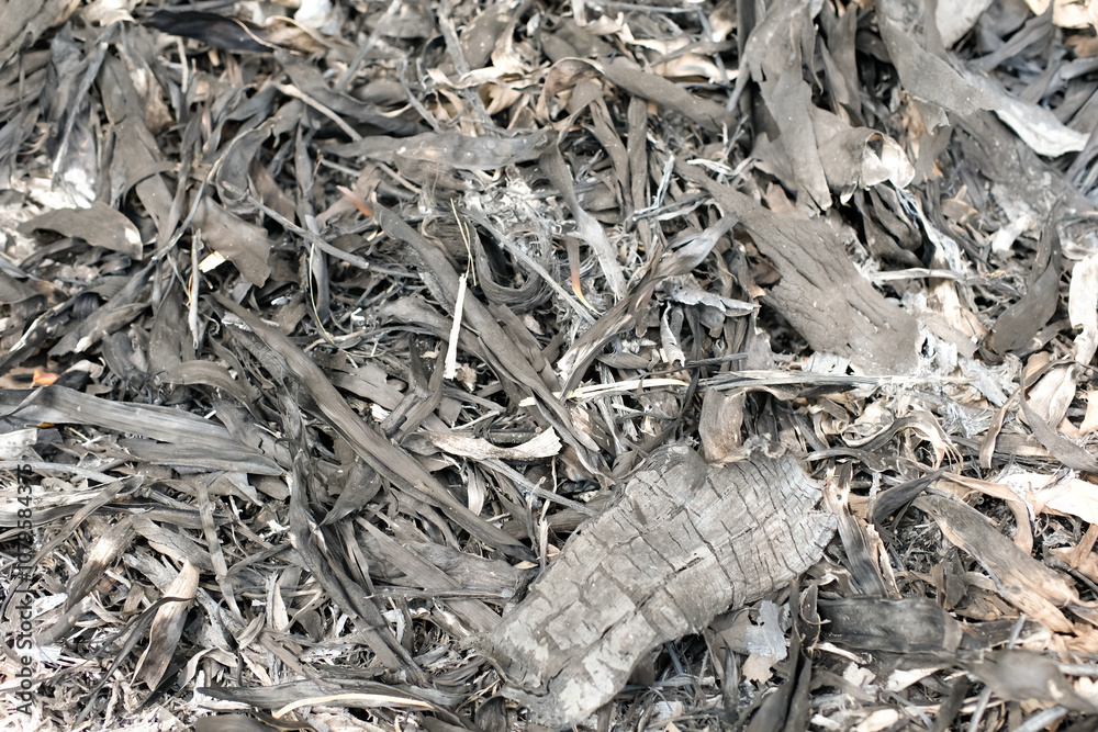 Monochrome Backgrounds ash and soot. Textured Details of the remains of ...