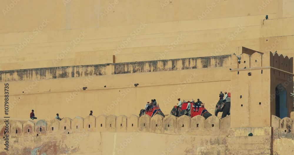 Jaipur, Rajasthan, India. Walking With Big Elephants. Slow Motion ...