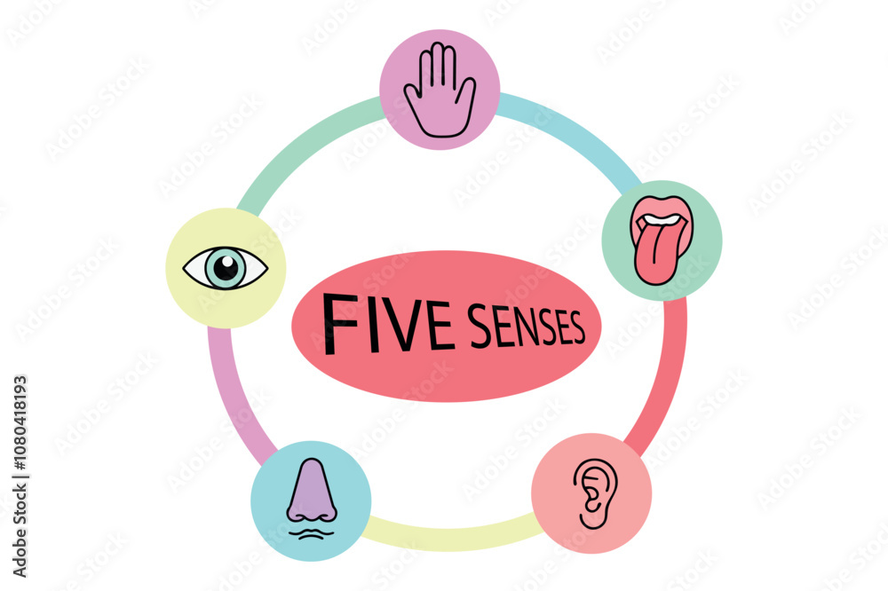 Colorful Icons of Lips Hand Nose Eye and Ear for Smell Touch Hearing ...