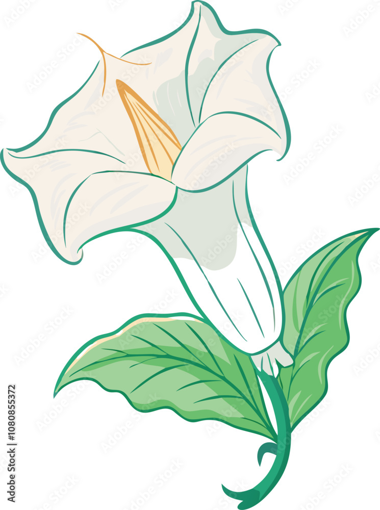 White Trumpet Flower with Green Leaves, Elegant illustration of a white ...