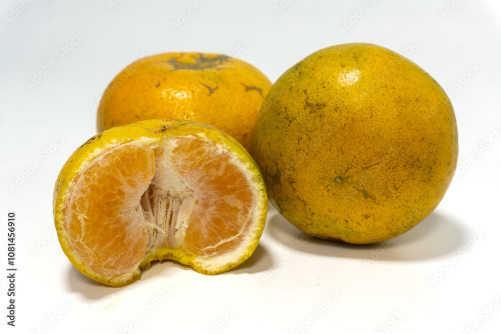 Medan tangerine (Citrus reticulata) is a popular Indonesian citrus ...