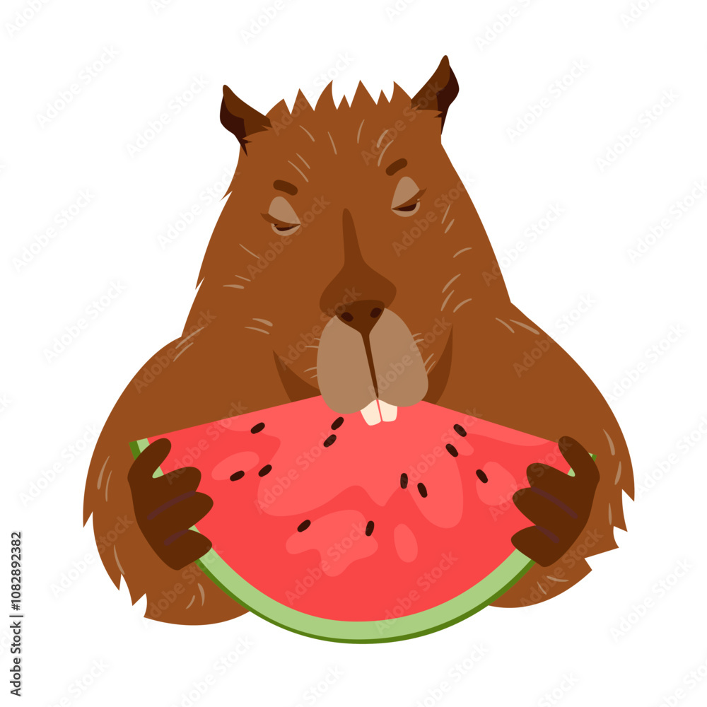 Cute capybara eating watermelon. Funny baby animal holding juicy ...