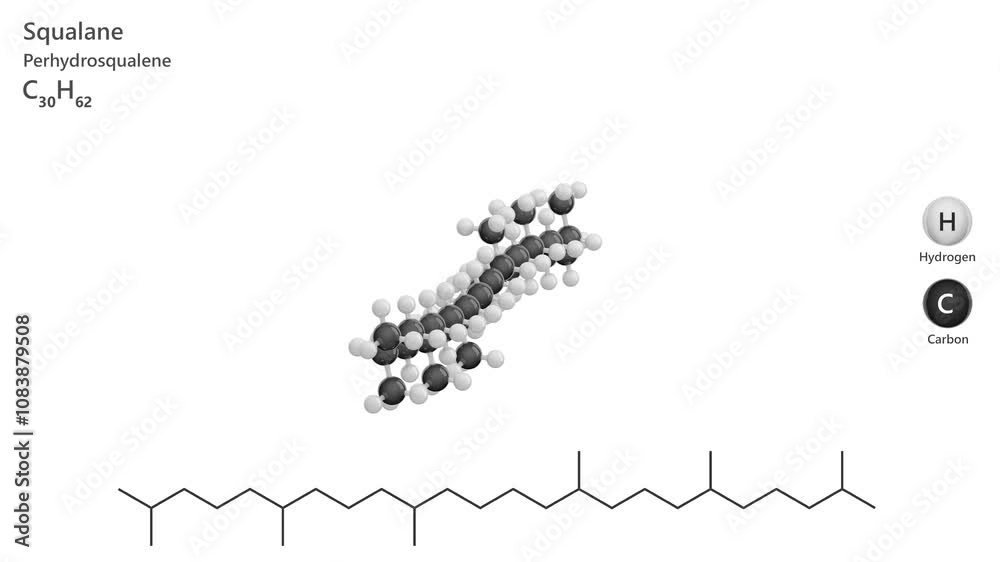 Squalane. Animated 3D model of a molecule. Molecular formula: C30H62 ...