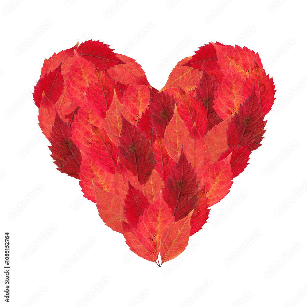 Heart of red autumn leaves isolated on transparent background. Fall dry ...