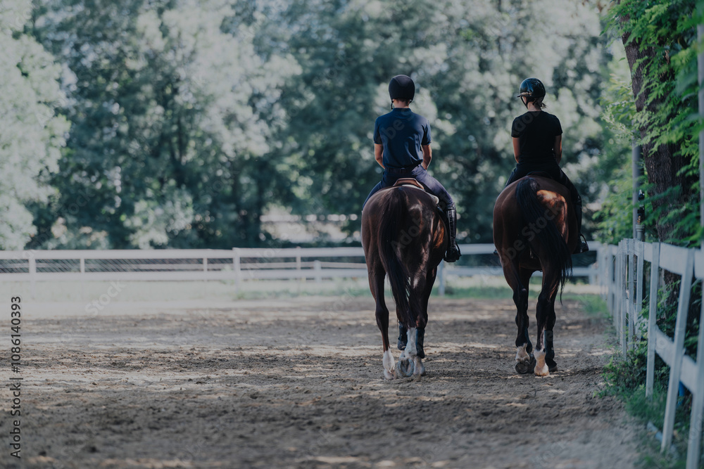 Two equestrians ride their horses along a tranquil outdoor path ...