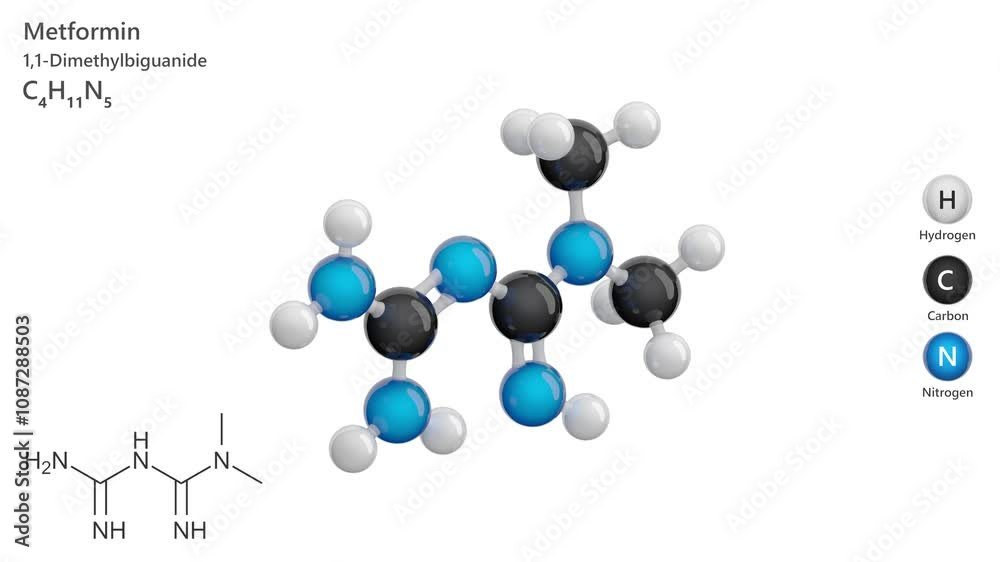 Vidéo Stock Metformin. Antidiabetic medication. Animated 3D model of a ...