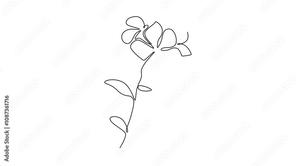 Self drawing animation of single line draw beauty fresh vinca for home ...