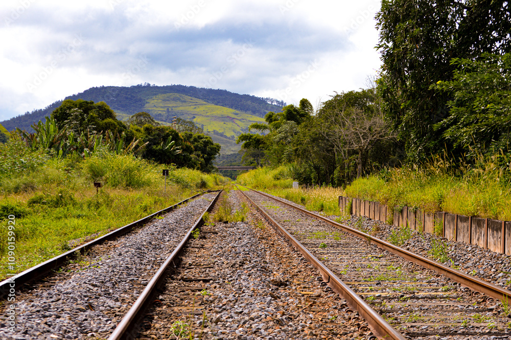 Railway tracks extending into the distance, surrounded by natural ...