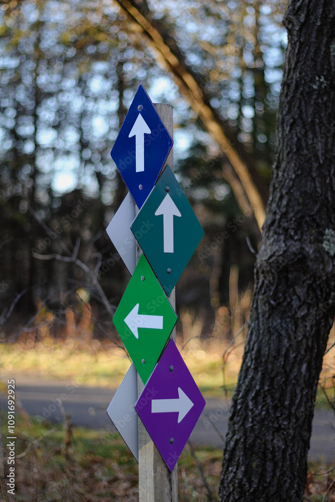 abstract making choices signs with arrows for a trail. instructions ...