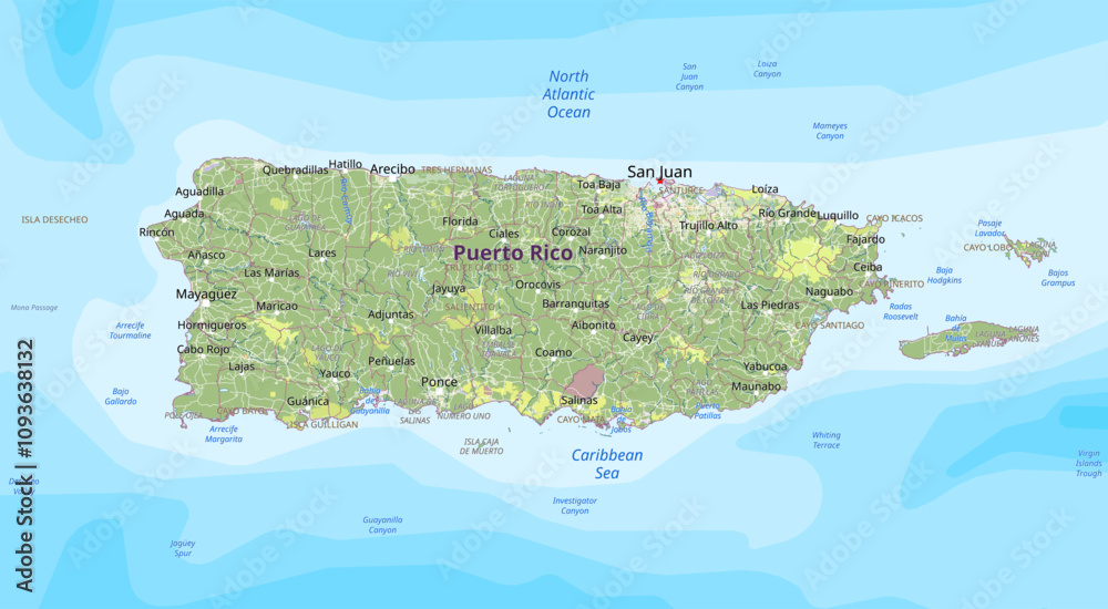 Physical political map of Puerto Rico Stock Vector | Adobe Stock