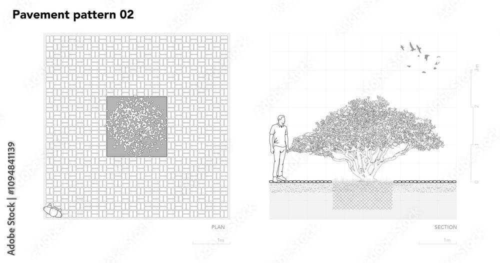Architectural Drawings, Minimal style cad tree line drawing, Side view ...