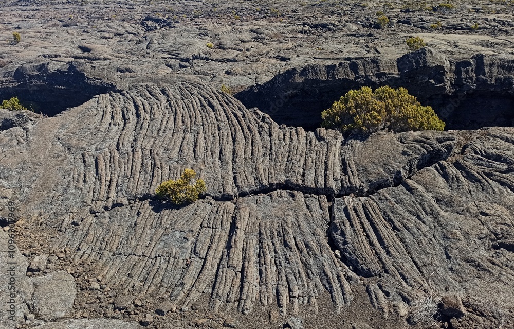 rift in basaltic lava flow earth crust, with vegetation growing inside ...