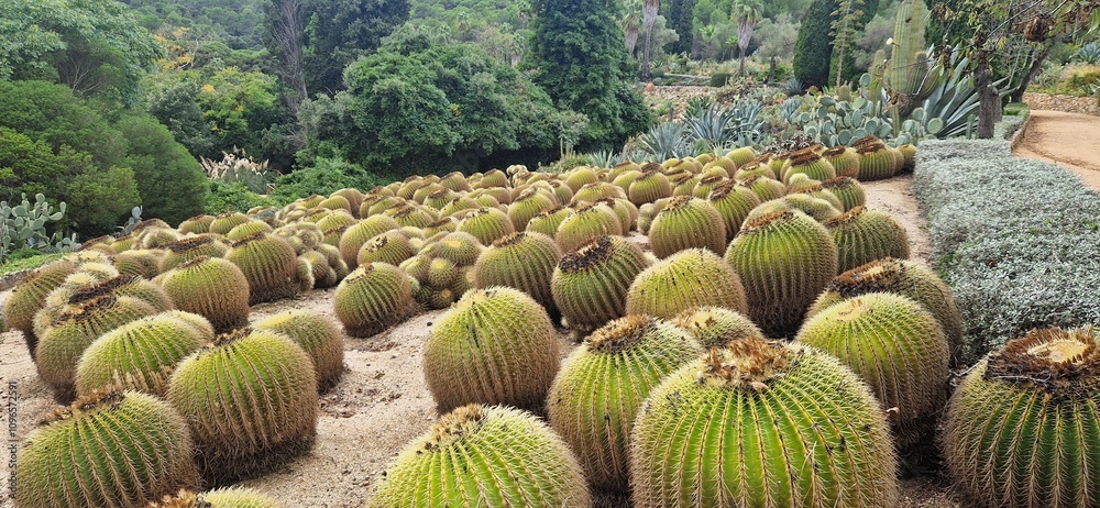 Autumn in the Pinya de Rosa Tropical Botanical Garden, October 3, 2024 ...