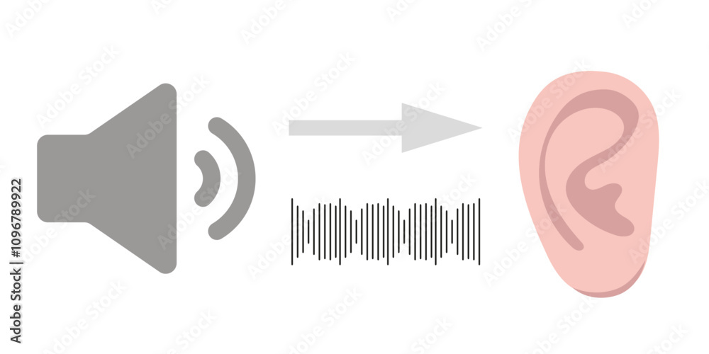 Poster How we hear sounds Ear and noise – Wall Art | UkPosters