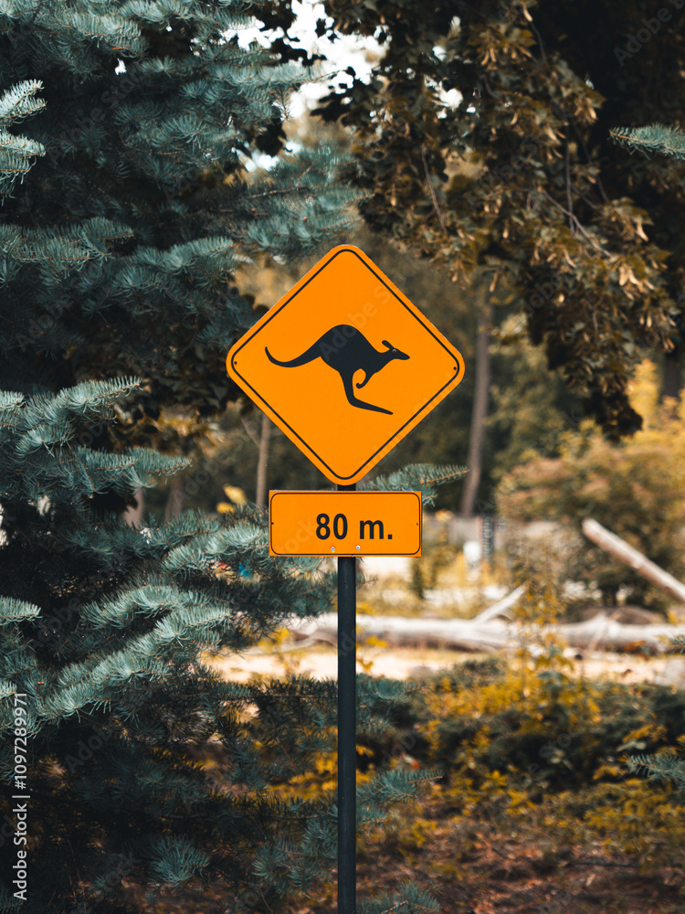 A kangaroo warning sign on a road, indicating the presence of kangaroos ...