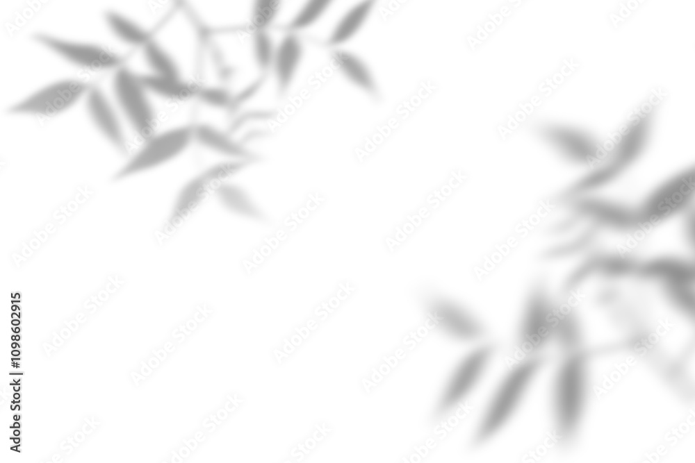 Poster Leaf shadow overlay on white background – Wall Art | UkPosters