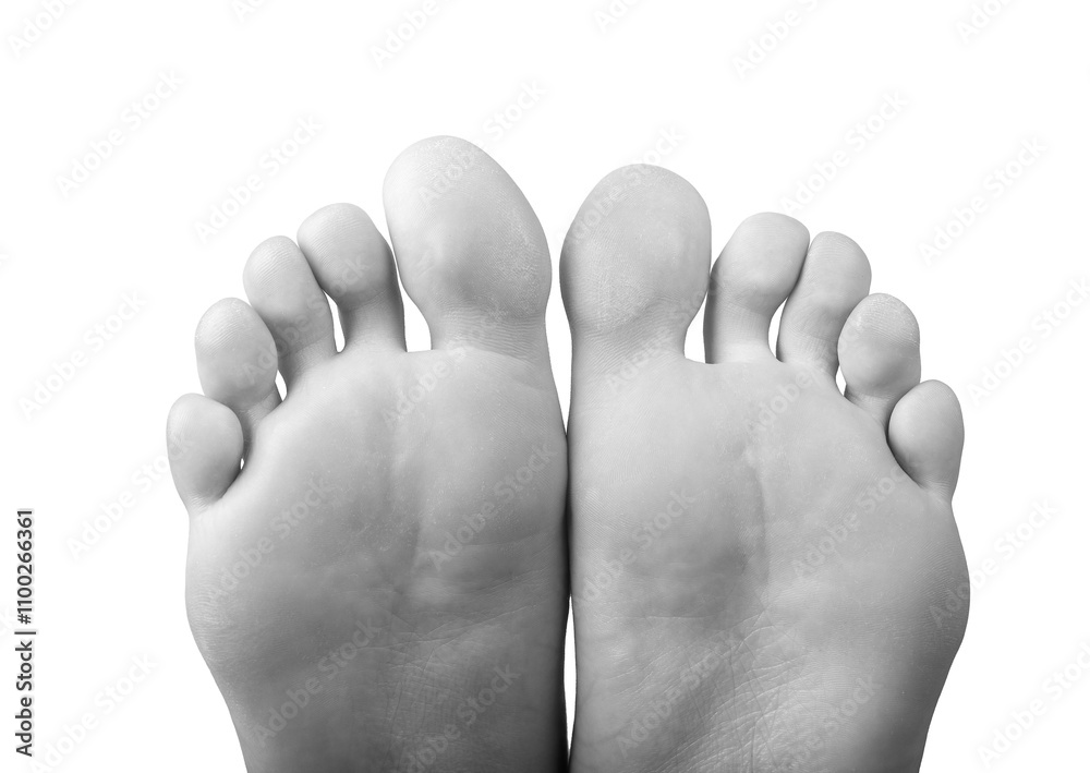 Grayscale barefoot female feet with smooth skin and neat toes, back ...