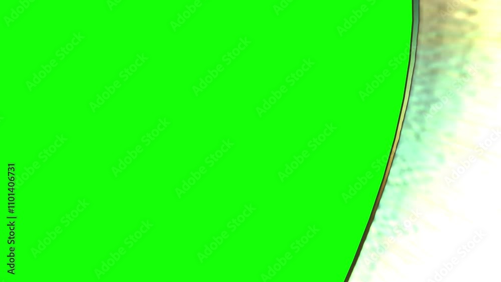 3D Rotation Letter 'O' Text with Gold Letter Typography, 'O' Alphabet ...