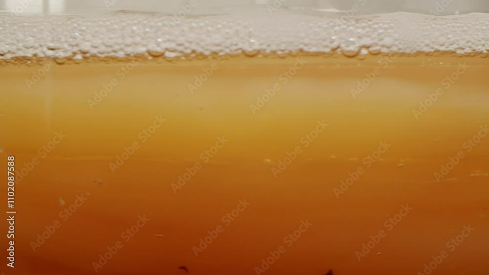 Kombucha tea, scoby fungus homemade Kombucha fermented drink, bacteria ...