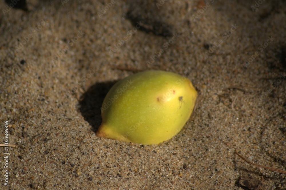 Póster El lago de Maracaibo,es de una importancia fundamental para el ...