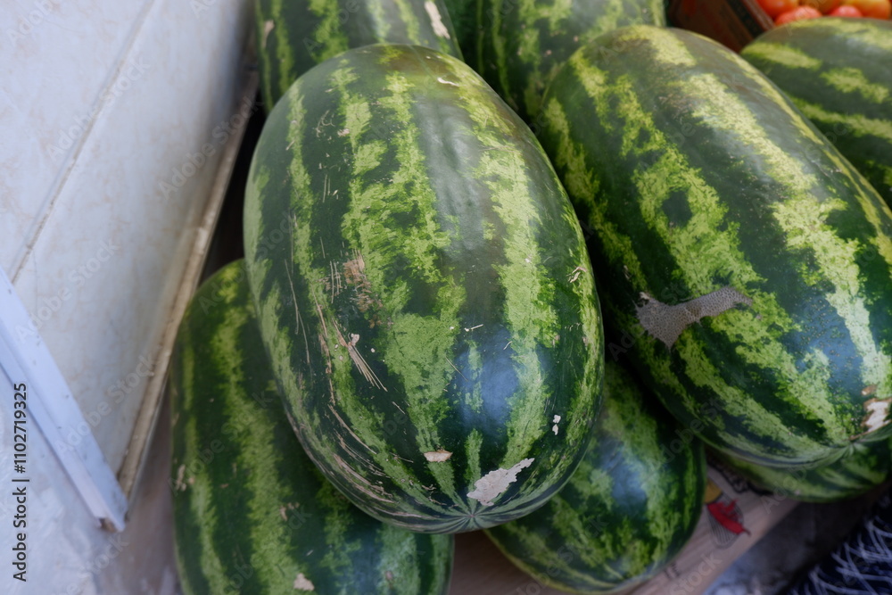 some watermelons with an oval shape. watermelons ready to be eaten ...