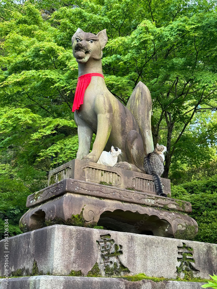 Poster Cats at Fushimi Inari Taisha – Wall Art | UkPosters
