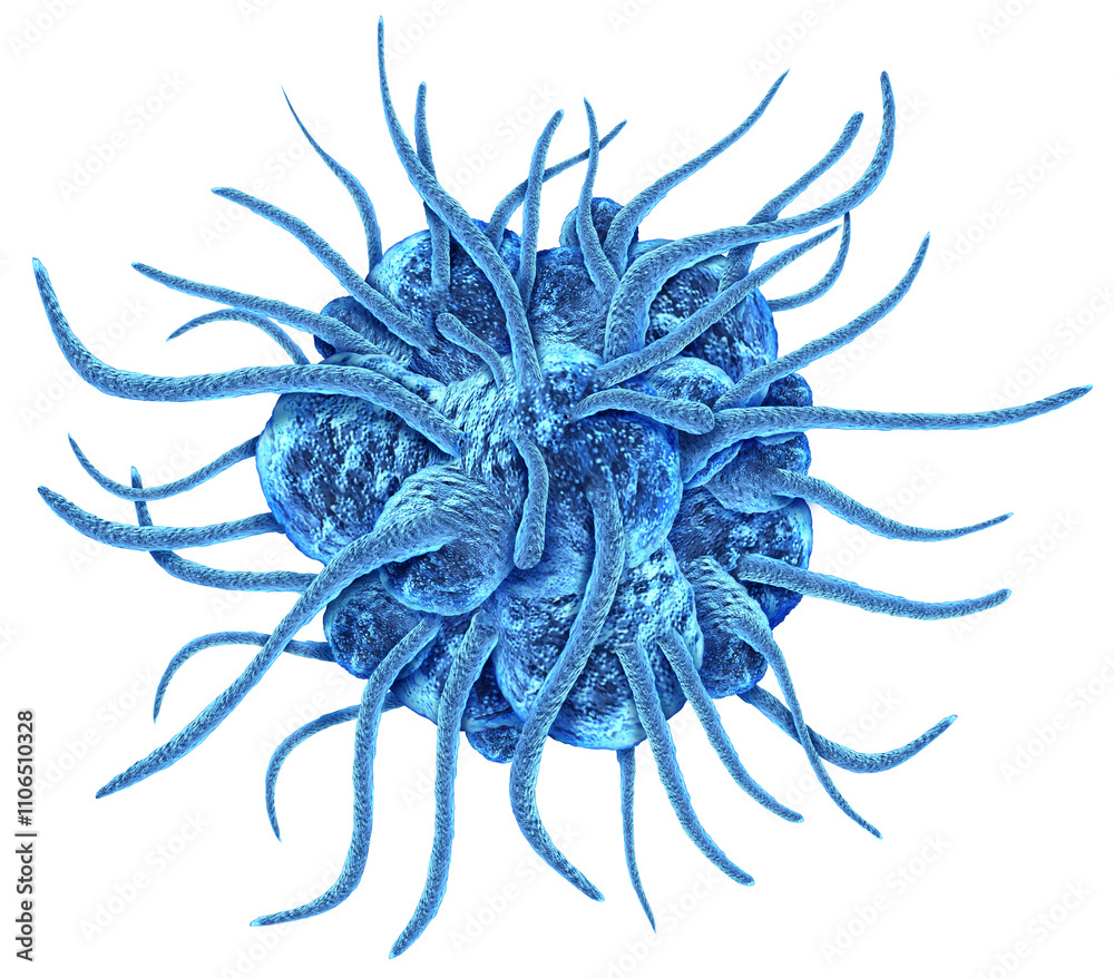 Phagocyte a type of white blood cell or leukocyte as an immune cell ...