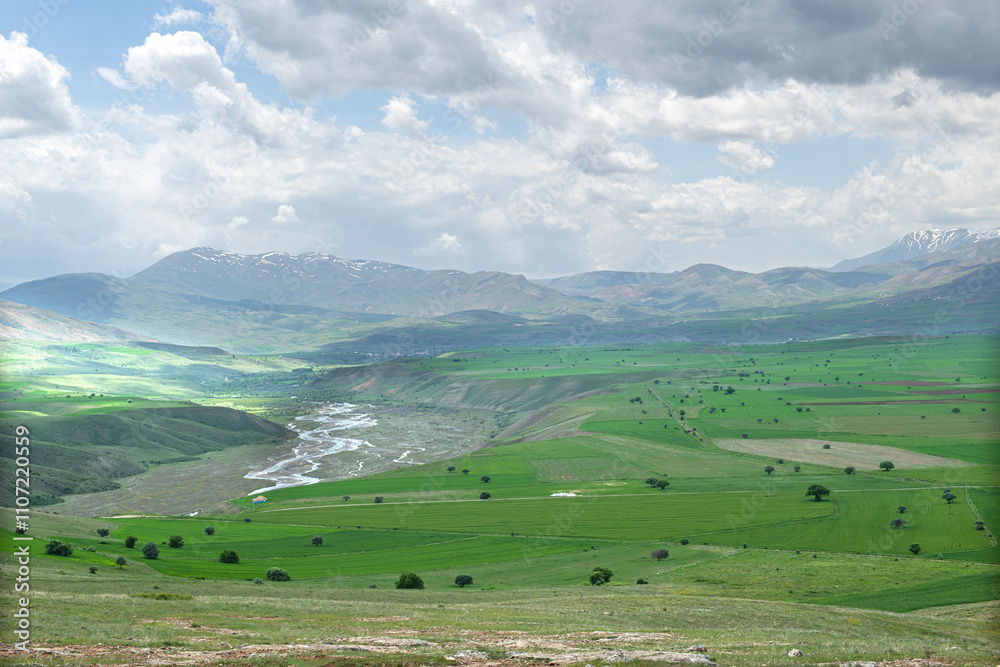 Green meadows blooming in spring and snowy mountains in the background. Green flat plains in ...