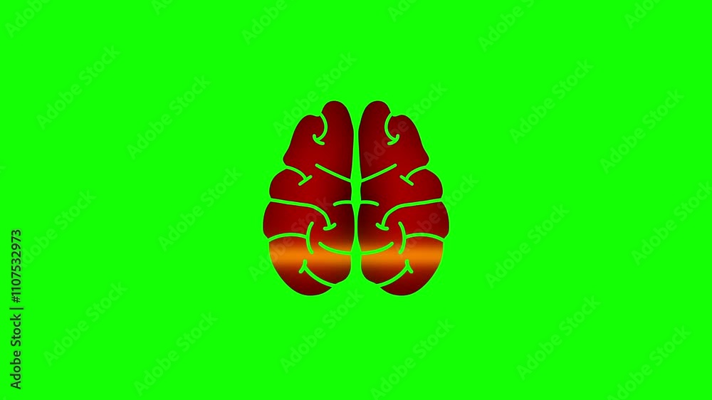 Mri Scan Of The Brain Human Brain Mri Scan Of The Brain On A Computer A Doctor Examining A