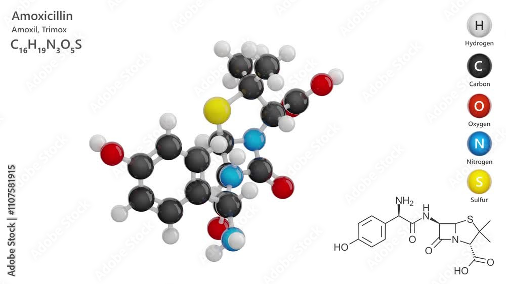 Amoxicillin. Antibiotic. Animated 3D model of a molecule. Molecular ...
