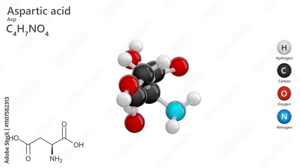 Aspartic Acid (Asp or D). Non-essential amino acid. Animated 3D model ...
