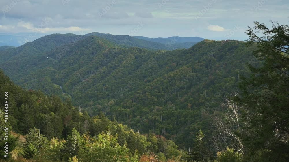 Rolling green valleys and forested ridges of Smoky Mountains under ...