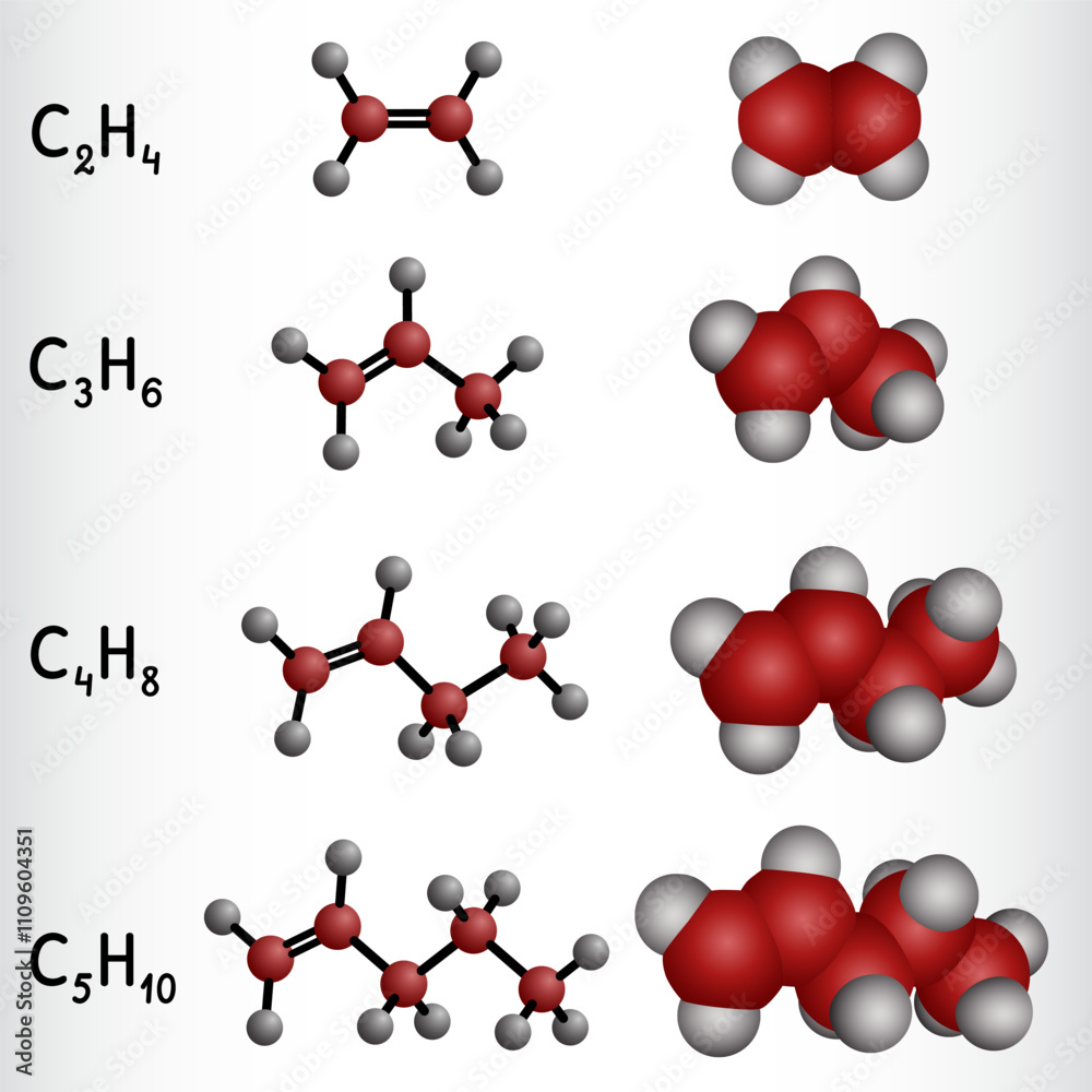 Homologous Series Of Alkenes Ethene Propene Butene Pentene Molecular Structures And Models