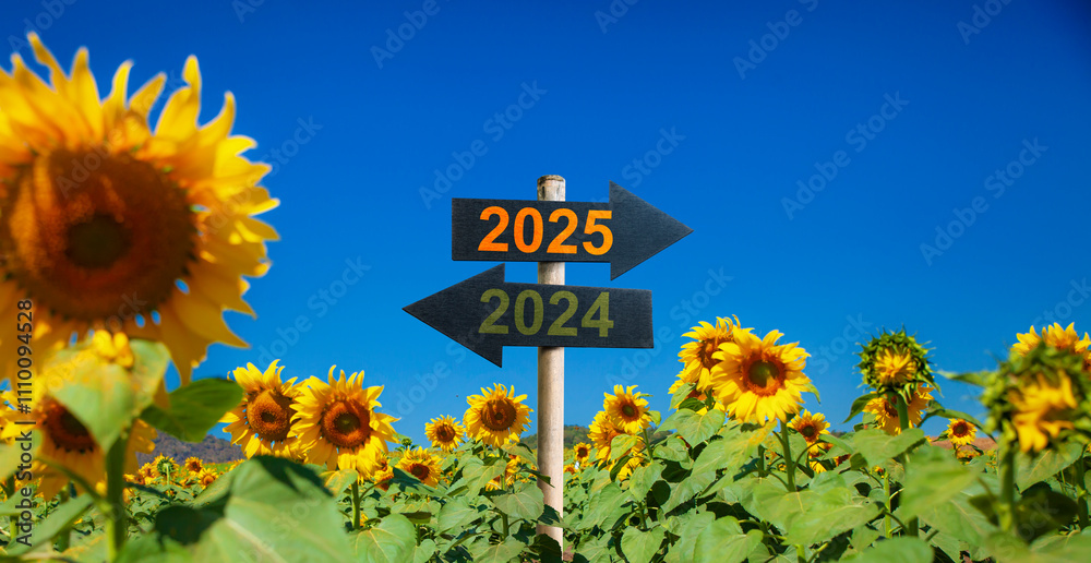 2025 to the right and 2024 to the left. road signs in the sunflower ...