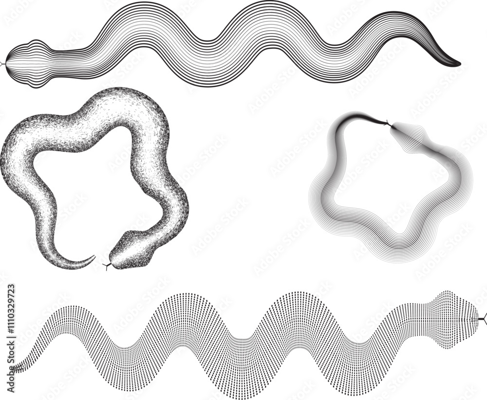 Chinese new year 2025 zodiac snake symbol collection .design elements ...