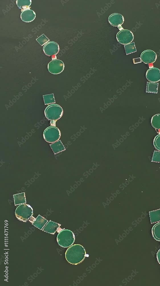 Fish farm with cages for fish and shrimp. Fish ponds for bangus ...