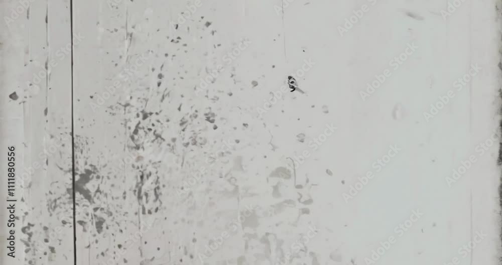 Seamless paper texture background for overlays. Looping white grunge ...